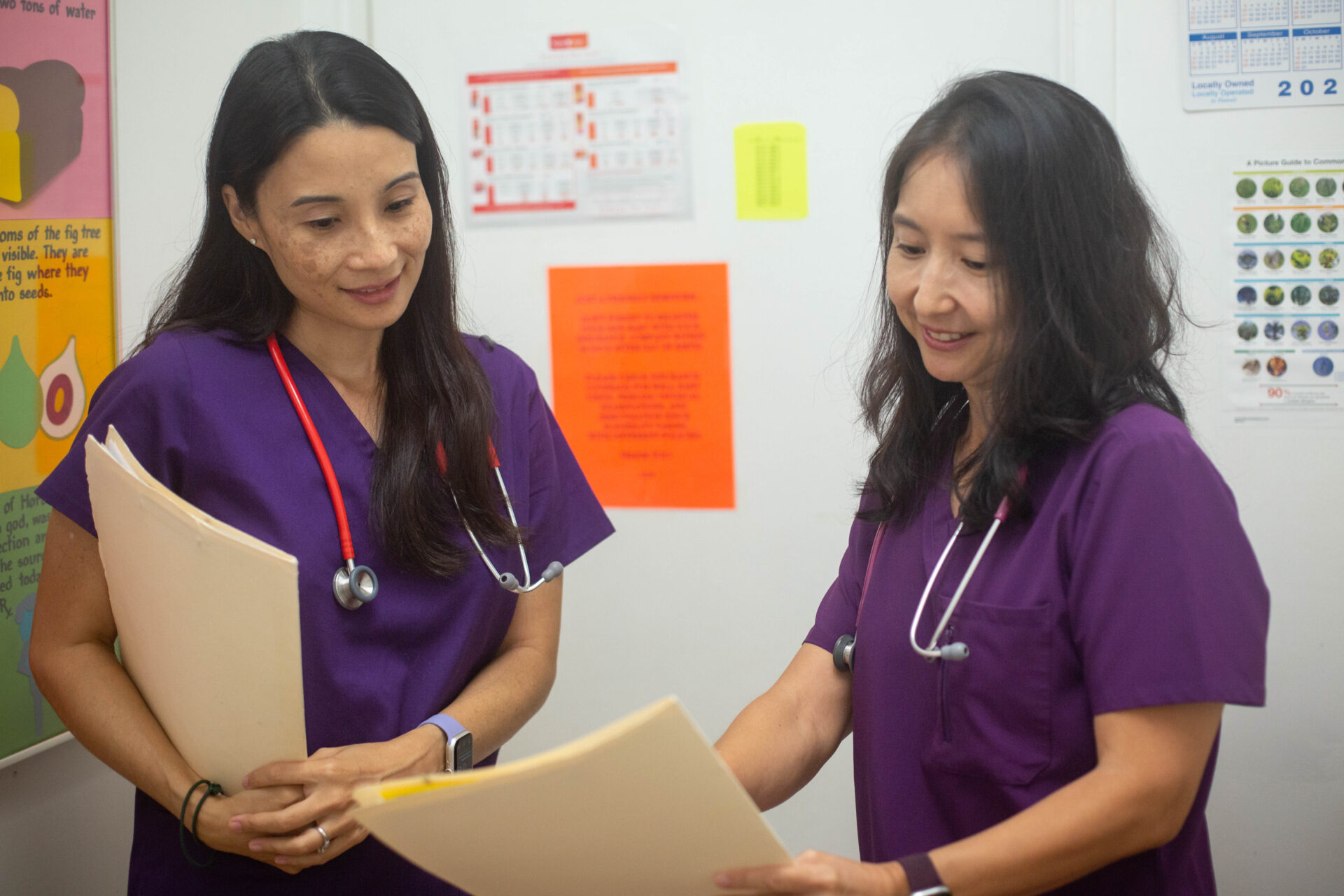 Bridges to Independent Practice for New, Existing, and Retiring Physicians